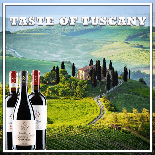 ITALIAN WINE - TASTE OF TUSCANY ️ – Guidi Wines